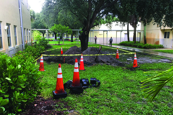 S.D. Spady Elementary School | Florida General Contractor